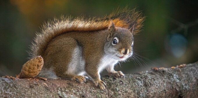 Common arthritis drug shows promise in treating alopecia areata ...